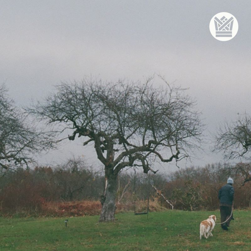 Homer estrena 'The Tall Green', nuevo adelanto de su próximo álbum
