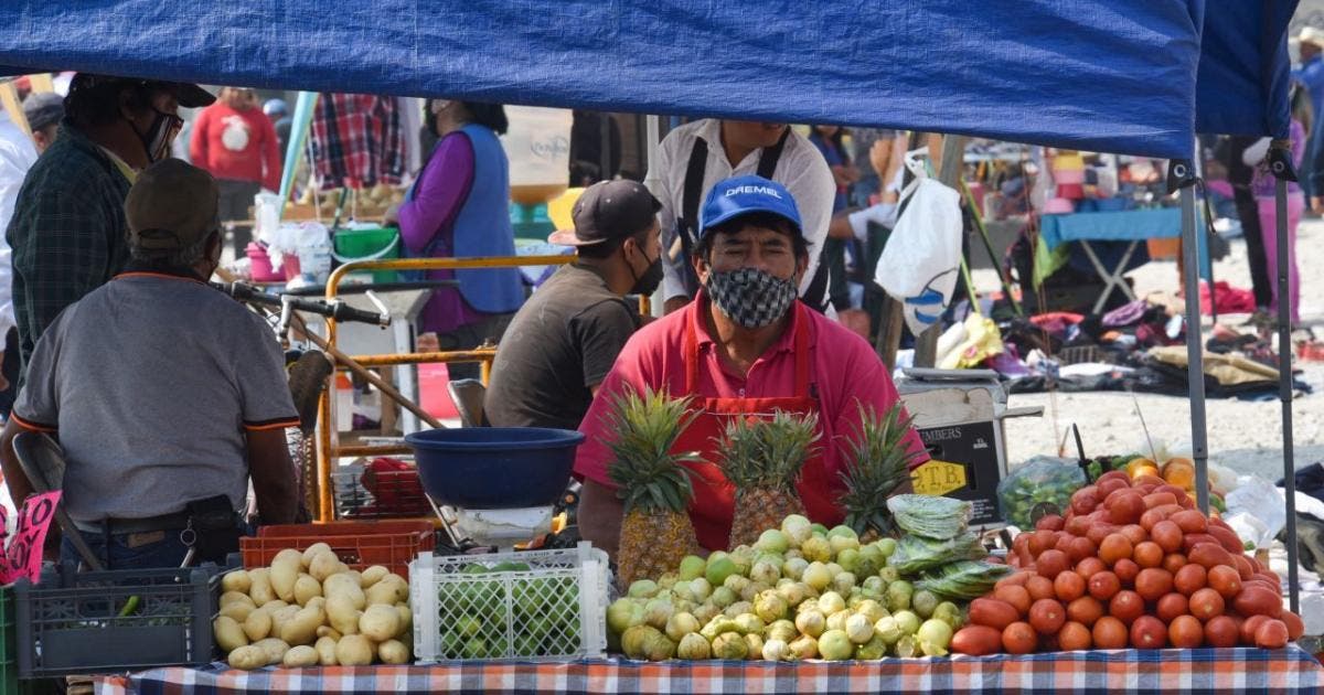 Regresa Mercado de Trueque renovado a la capital | Diario de México