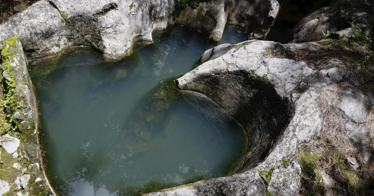 Habitantes de la comunidad 'El Terrero', cuidan con dedicación el agua ...