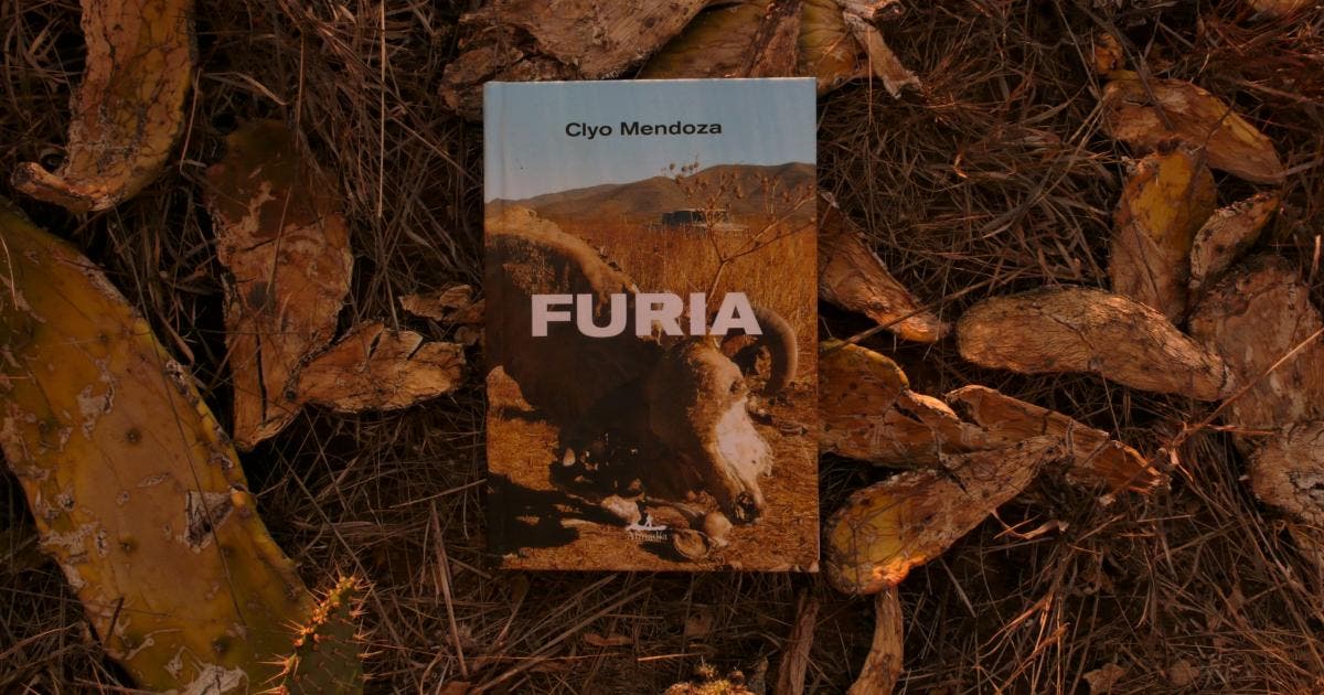 La mexicana Clyo Mendoza presenta en España su novela 'Furia' | Diario ...