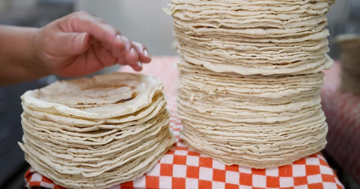 ONG de CDMX no prevé reducción del precio de la tortilla en próximos ...