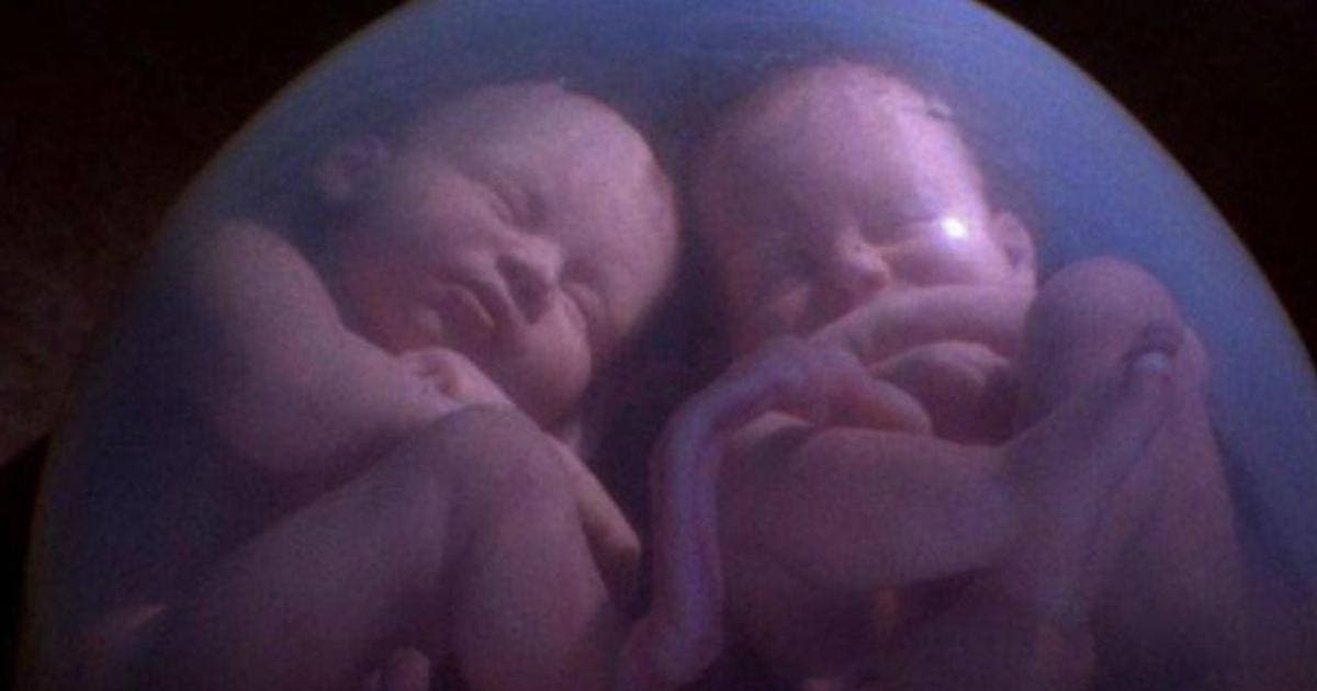 Nacen en EU gemelos de embriones congelados hace 30 años | Diario de México