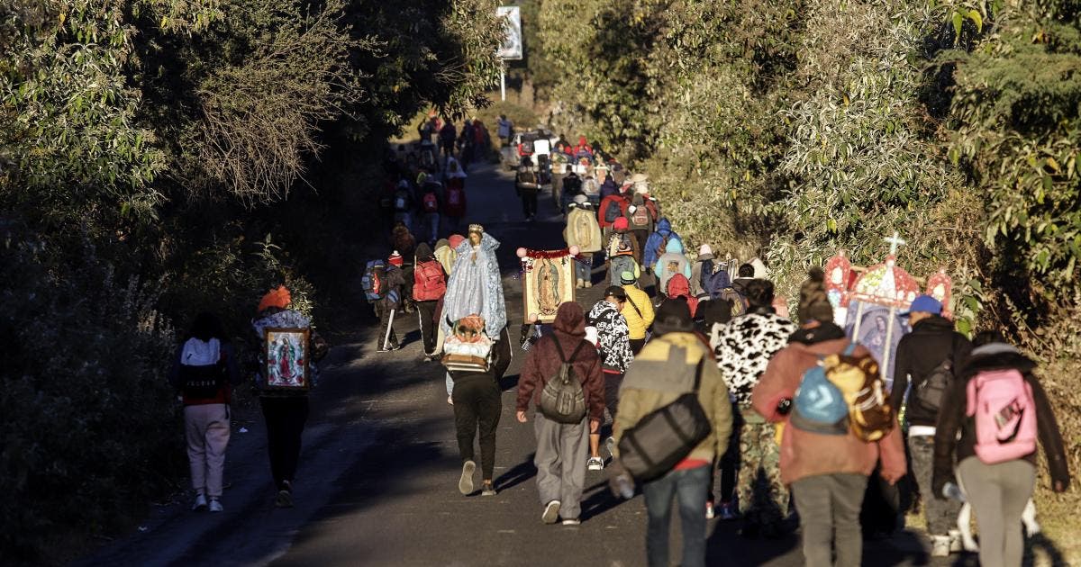 Peregrinos inician viaje a la Basílica de la Virgen de Guadalupe | Diario de México