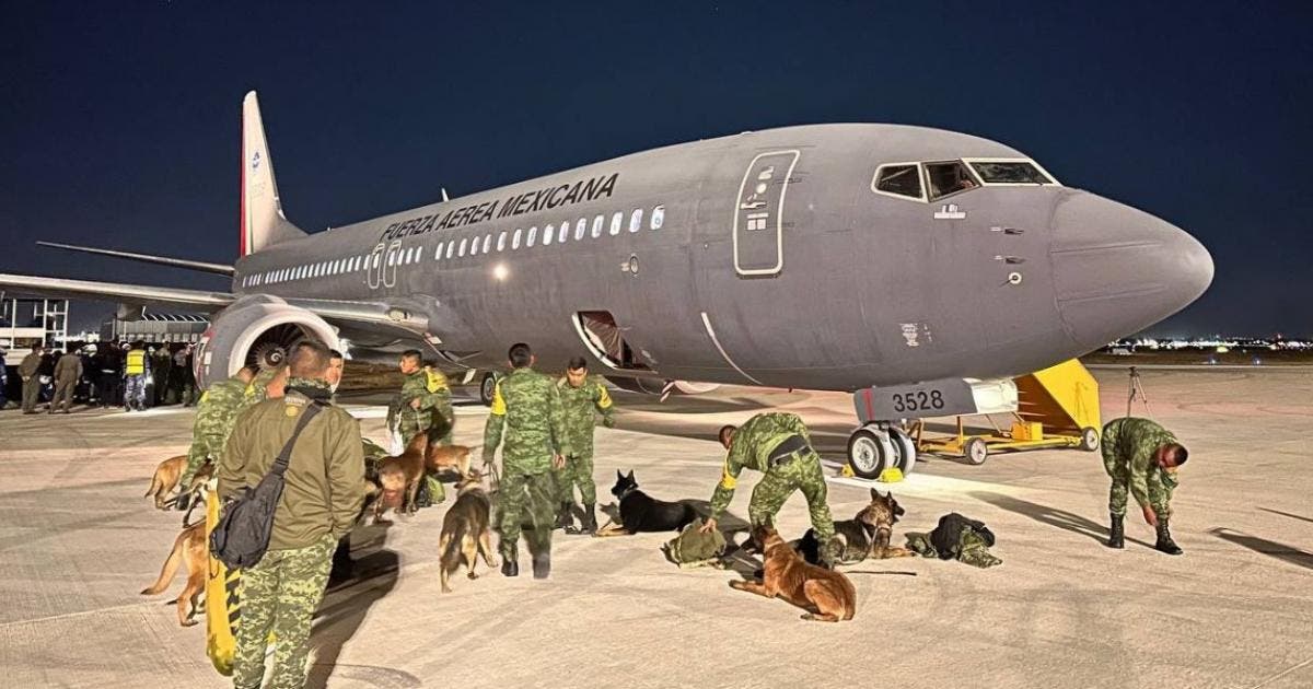 Despega del AIFA avión de la Fuerza Aérea con ayuda humanitaria para Turquía y Siria | Diario de ...