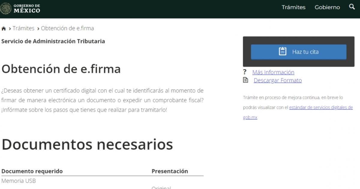 ¿Qué es la e.firma y para qué sirve? | Diario de México