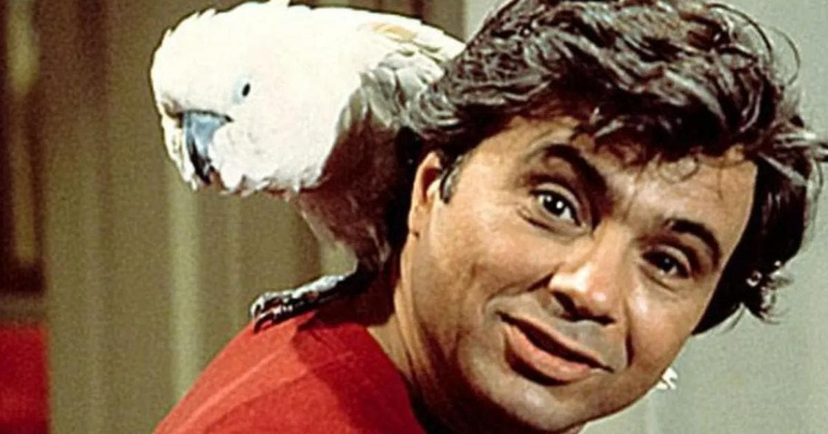 Fallece Robert Blake, actor de 'Baretta', a los 89 años | Diario de México