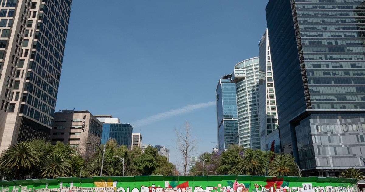Retiran ahuehuete de glorieta en Paseo de la Reforma | Diario de México