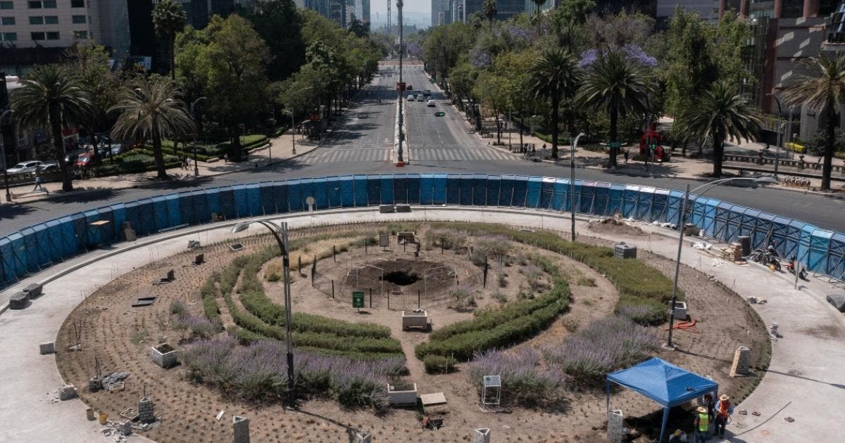 Ahora sí, Sedema cambia suelo de plantación para el nuevo ahuehuete en ...