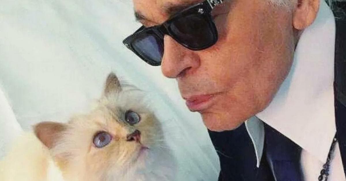Jared Leto se disfraza de gato para la Met Gala | Diario de México