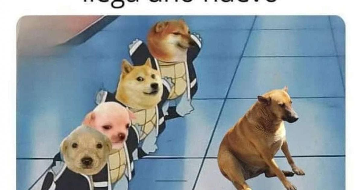 El "Cheems mexicano" causa sensación en las redes: ¡La nueva estrella ...