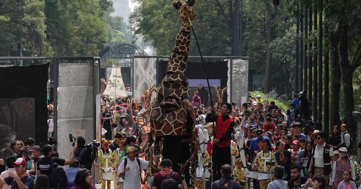 (Fotos) Celebran con desfile los 100 años de vida del Zoológico de ...