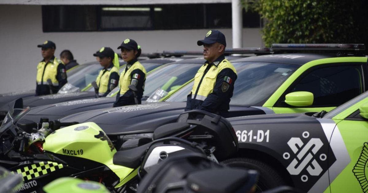 Grupo de Élite de la SSC logra más de mil detenciones en su lucha ...