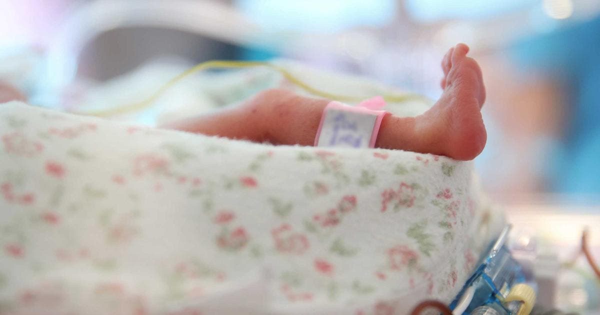 Donante de esperma busca a sus 96 hijos biológicos | Diario de México