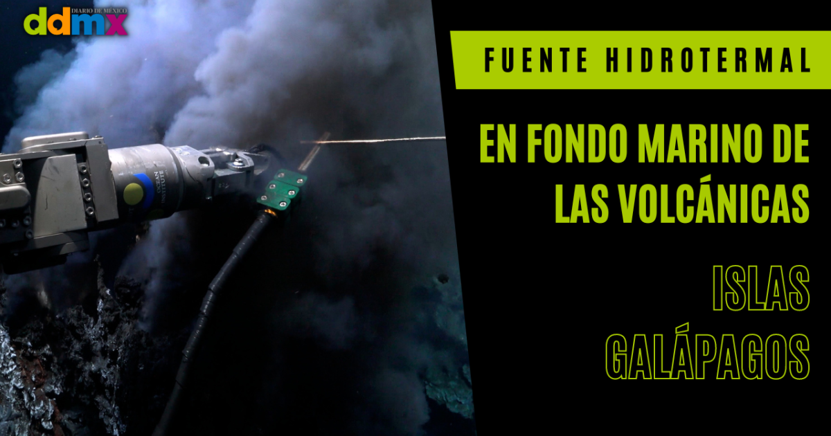 Descubren una fuente hidrotermal en fondo marino de las volcánicas ...