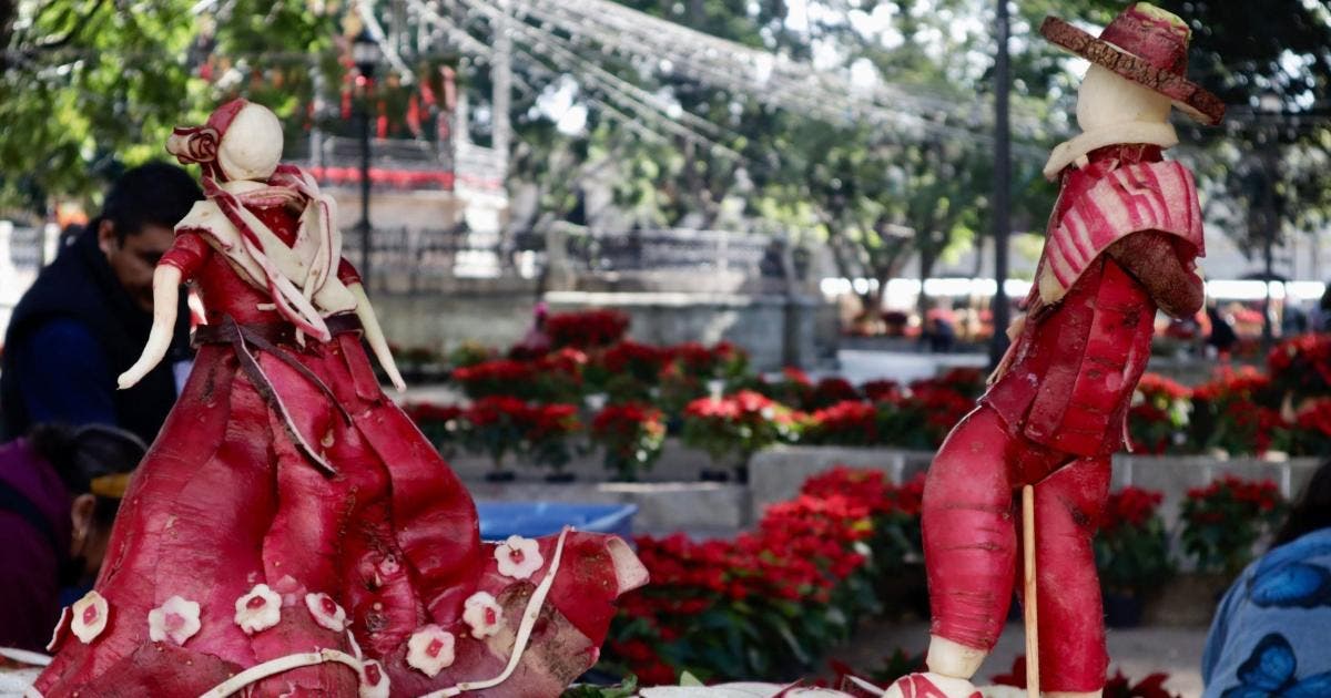 La noche de rábanos de Oaxaca celebrará 126 años de peculiar arte con ...