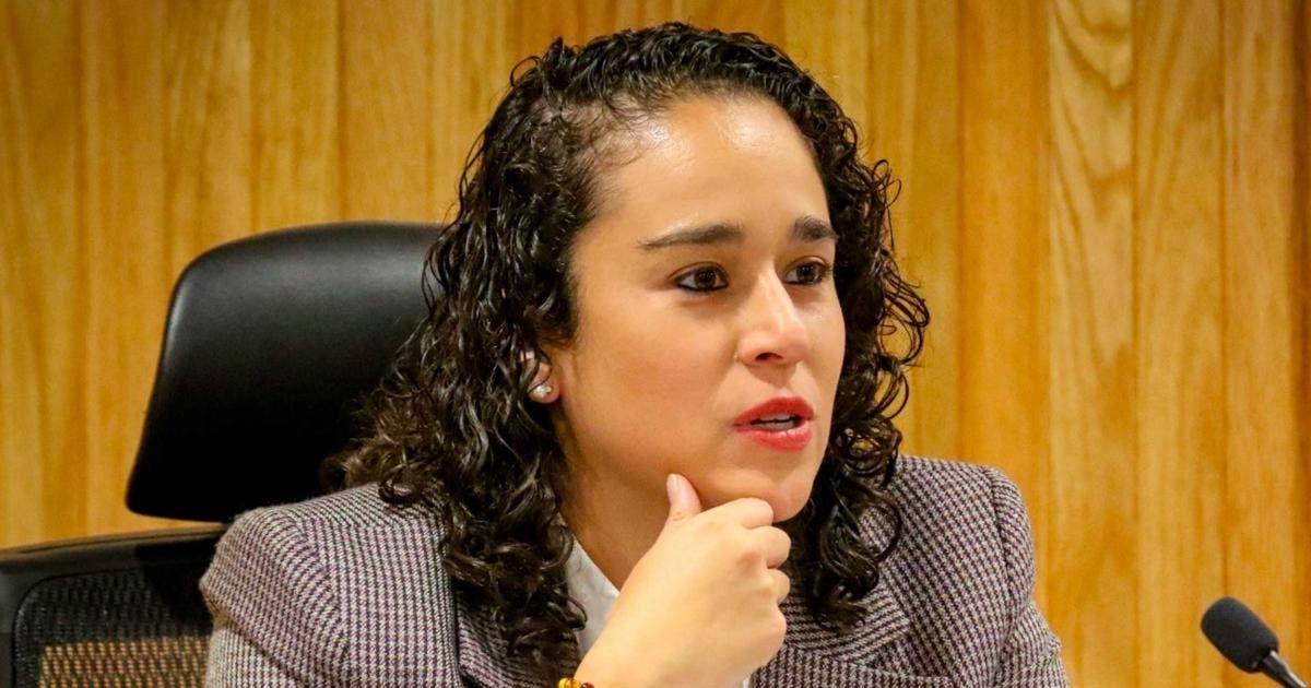 Piden reformular participación de PPL en elecciones | Diario de México