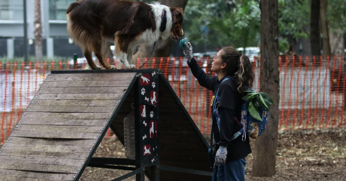 Reabren Parque Gandhi II luego de cerrar por protestas de vecinos ...