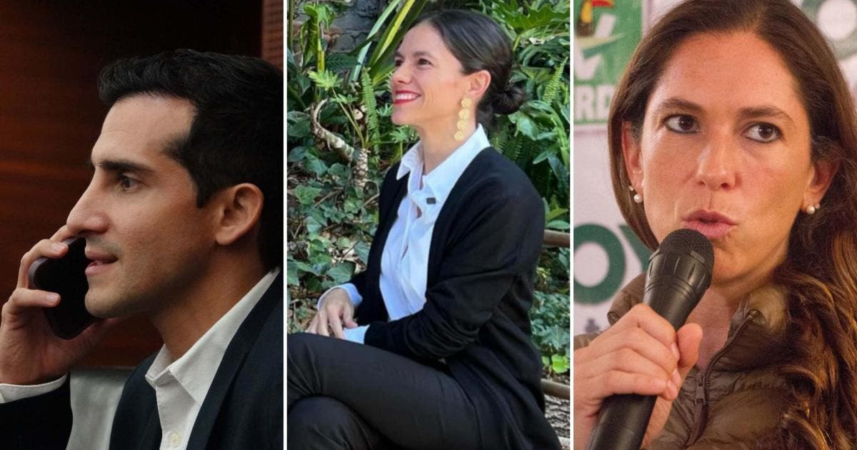 Rommel Pacheco, Mariana Boy y Renata Turrent: estos son los nuevos ...
