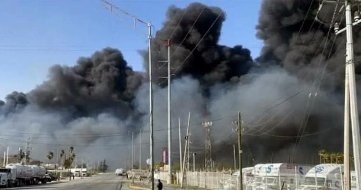 VIDEOS | Fuertes vientos y calor desatan 100 incendios en Nuevo León ...