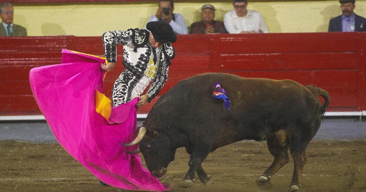 Inviable realizar 'corridas sin sangre' en la CDMX: Plaza de Toros ...