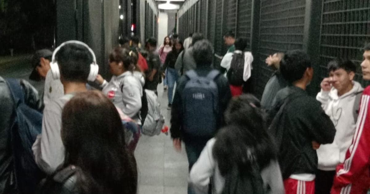 Instalaron 605 luminarias en Línea IV del Mexibús | Diario de México