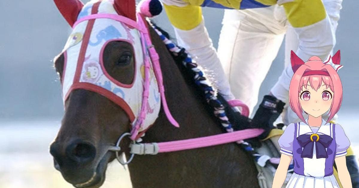 Haru Urara muere a los 29 años: la historia del caballo que nunca se rindió