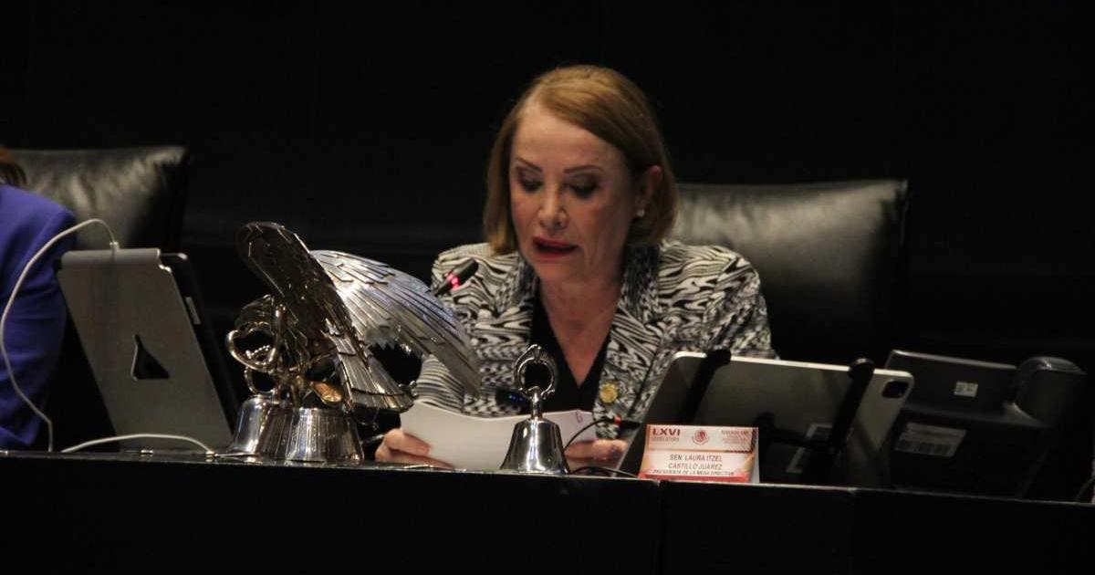 Laura Itzel Castillo reconoce el reto de elevar el nivel del debate legislativo en el Senado