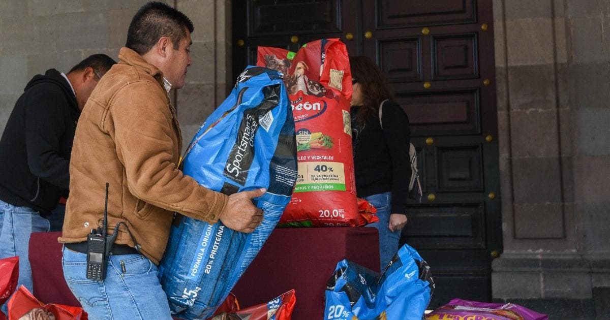 Kenia López Rabadán, legisladora del PAN y presidenta de la Mesa ...