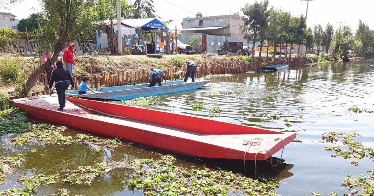 Invertirán más de 14 mdp en canales de Xochimilco | Diario de México