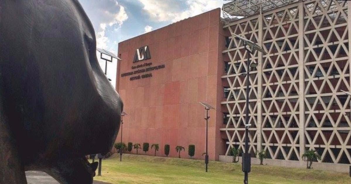 La Universidad Autónoma Metropolitana estrena rector | Diario de México