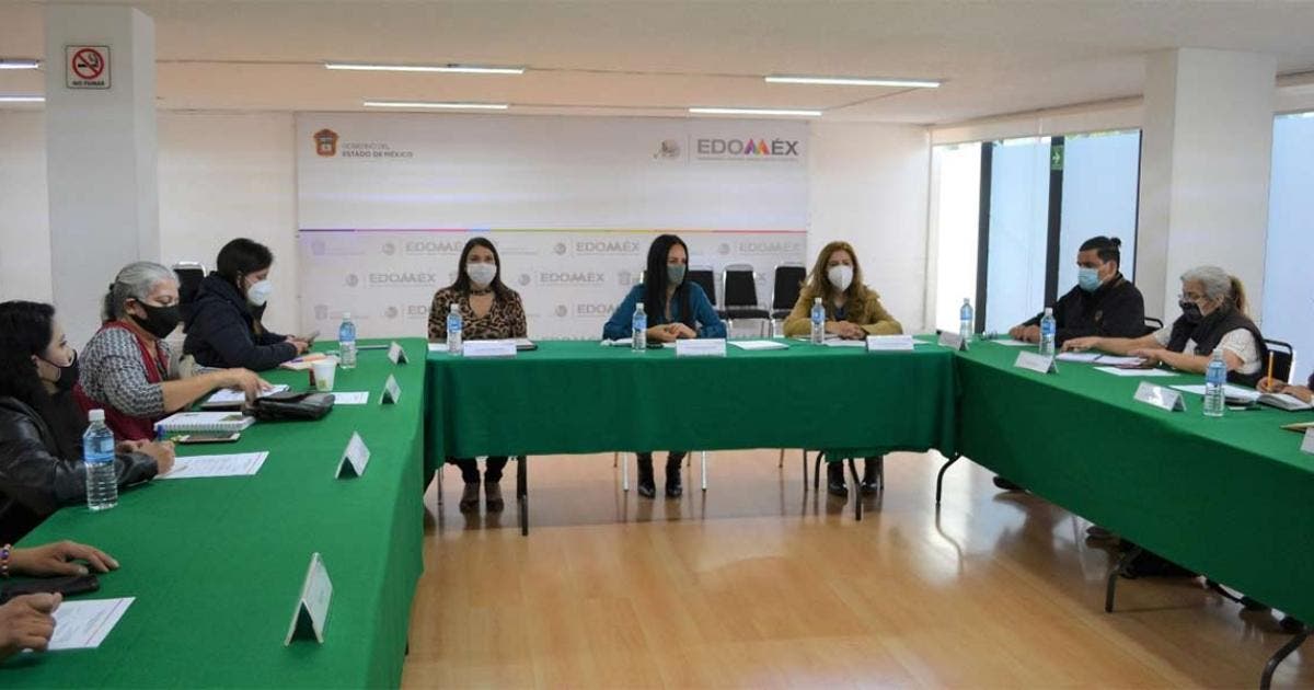 Se reunió Isabel Sánchez Olguín con grupos feministas | Diario de México