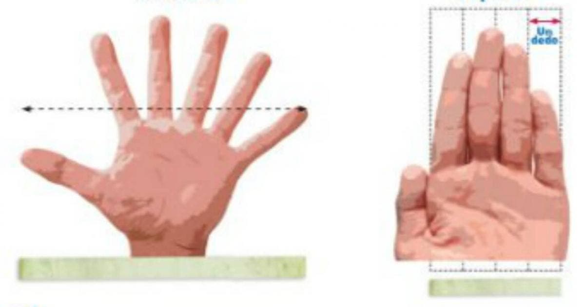 Lo normal es tener seis dedos en la mano, SEP | Diario de México