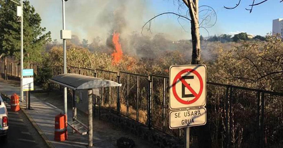 Se incendia reserva ecológica de la UNAM | Diario de México
