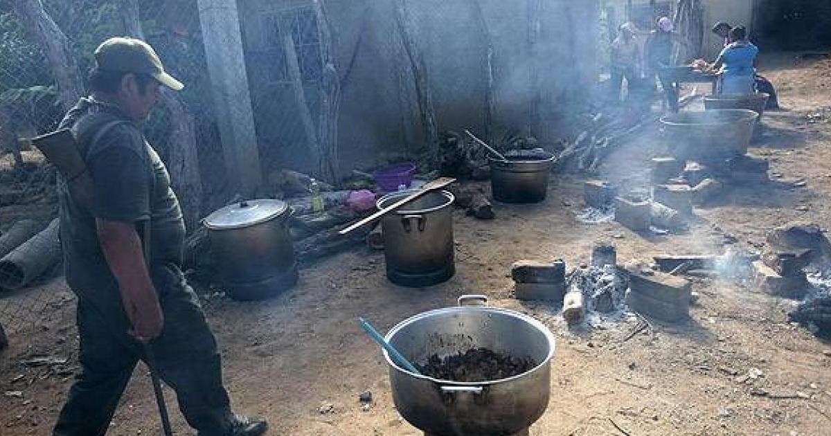 Jóvenes se vuelven caníbales para pertenecer a grupo criminal | Diario ...