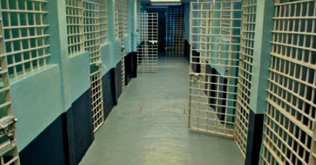 Siete personas pasaron Año Nuevo en “El Torito” | Diario de México