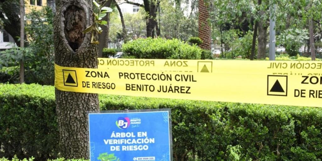 pascual ortiz rubio parque