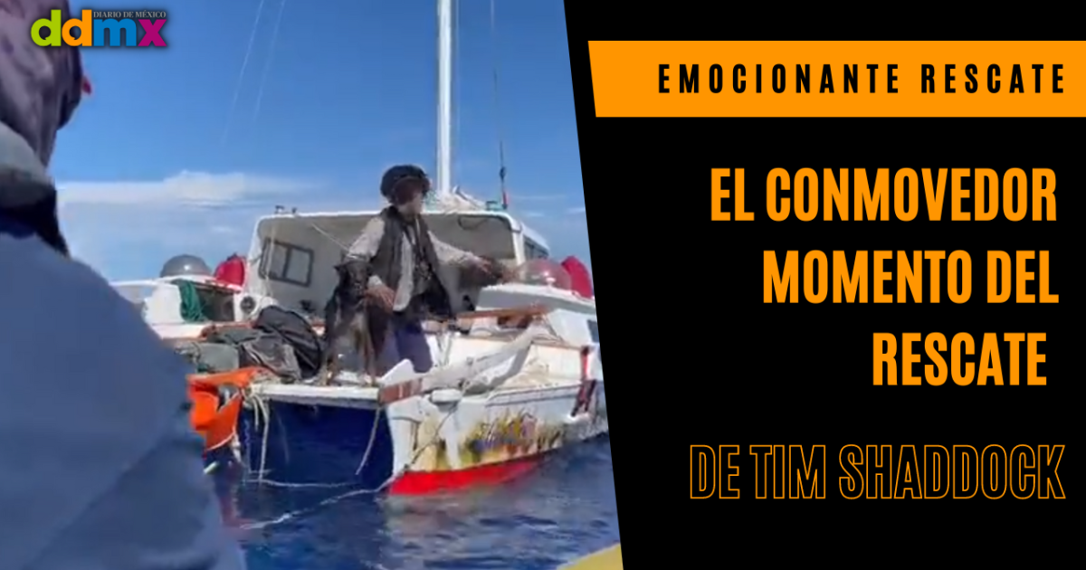 (Video) El conmovedor momento del rescate de Tim Shaddock y su perrita ...