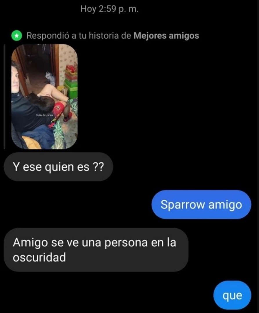 Descubren presencia inexplicable en selfie con gato: ¿Fenómeno paranormal?