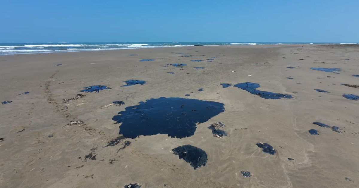 Denuncia Greenpeace a Pemex por grave derrame en el Golfo de México y ...