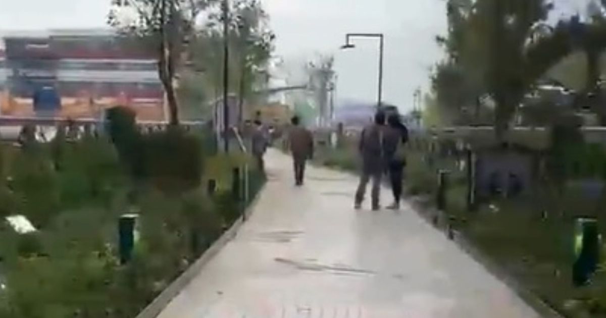 Inaugura Brugada 'Tlallipan': El primer jardín flotante de la CDMX ...