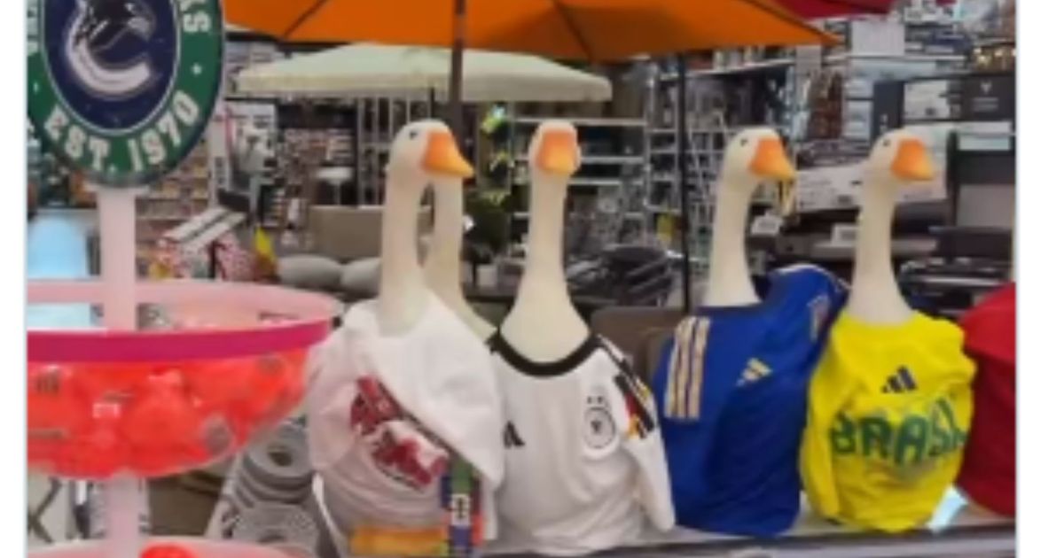 Fiebre por el pato Merlín llega a Canadá con venta de figuras mundialistas